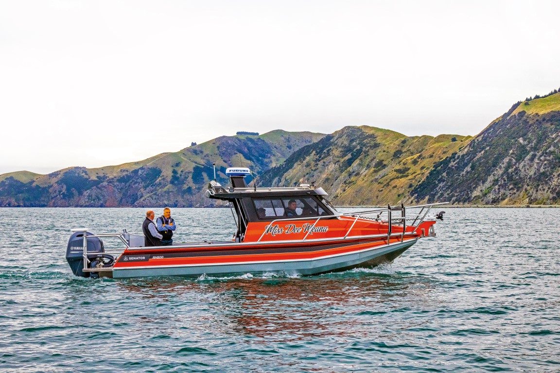 Senator 800 HT - Boating New Zealand