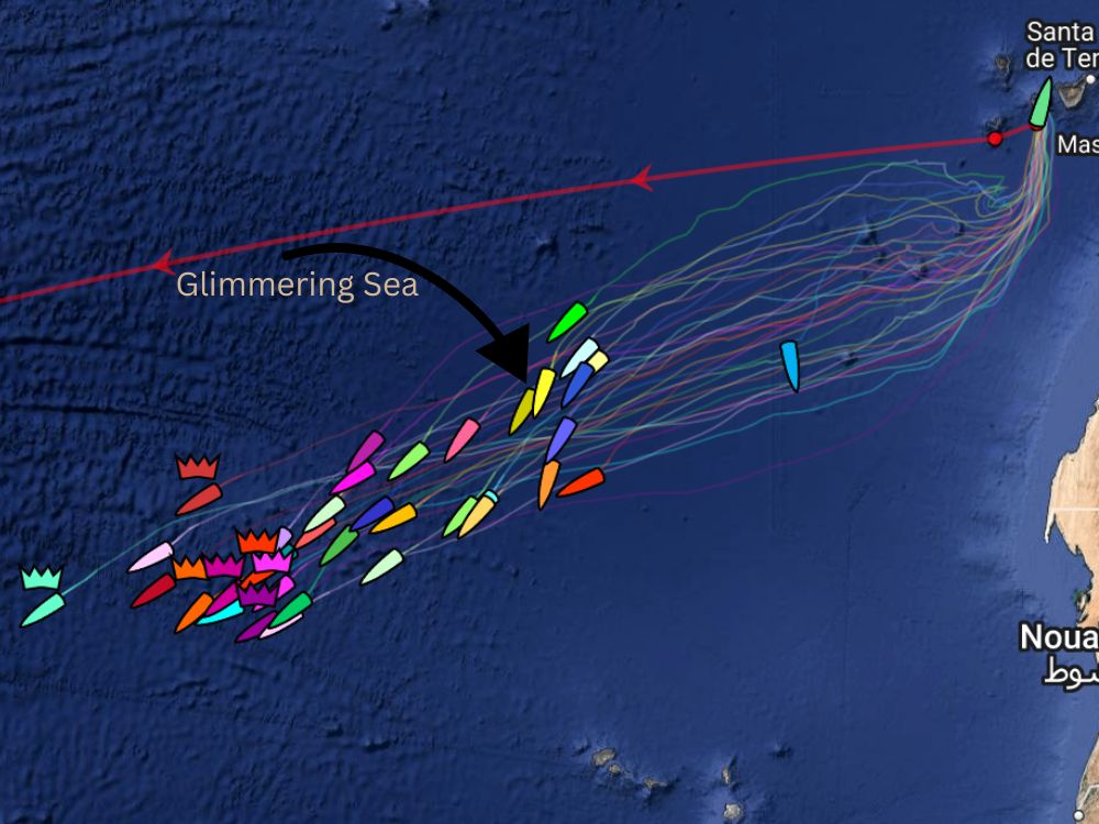 Bob and Nicky Parr: New Zealand’s record-breaking ocean rowers in The ...