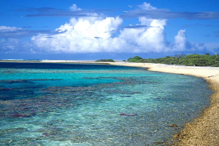 Ducie Island: A Remote Jewel of the South Pacific | Beauty of Planet Earth