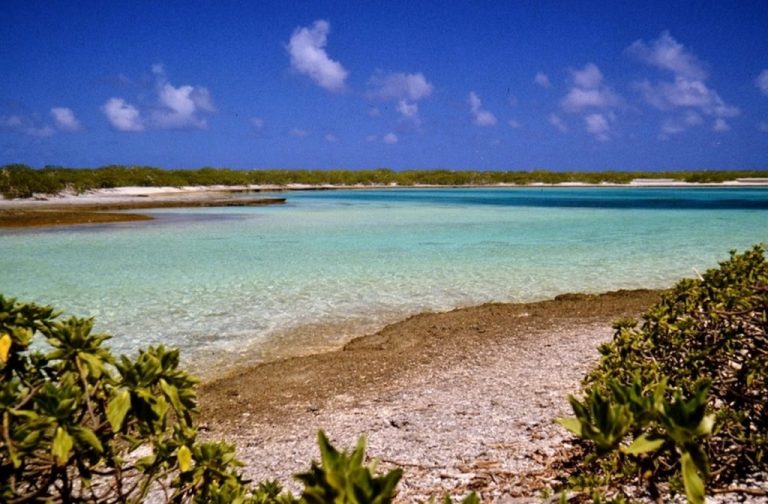 Ducie Island: A Remote Jewel of the South Pacific | Beauty of Planet Earth
