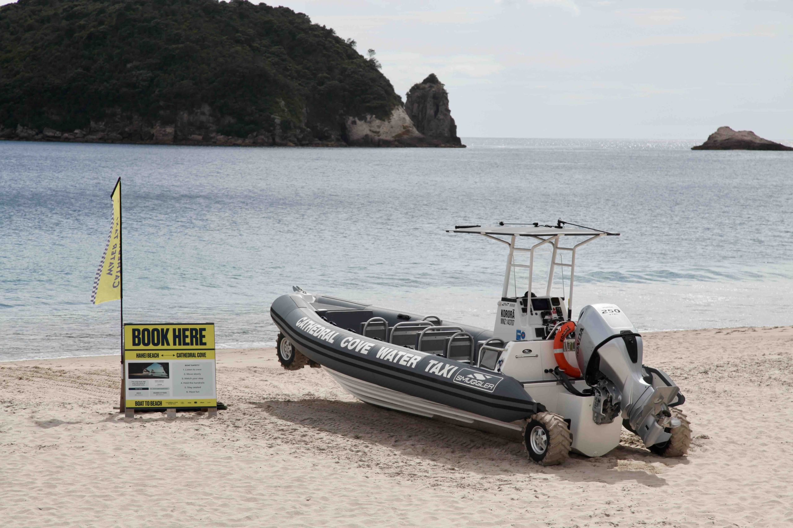 Beach tours reimagined: How NZ tour operators are transforming with ...