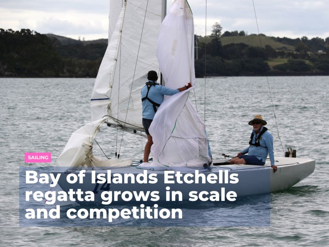 Bay of Islands Etchells regatta grows in scale and competition ...