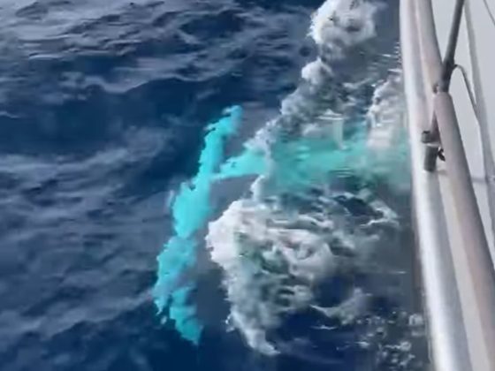 What is a Canting Keel? Intro 101 explanation - Boating New Zealand