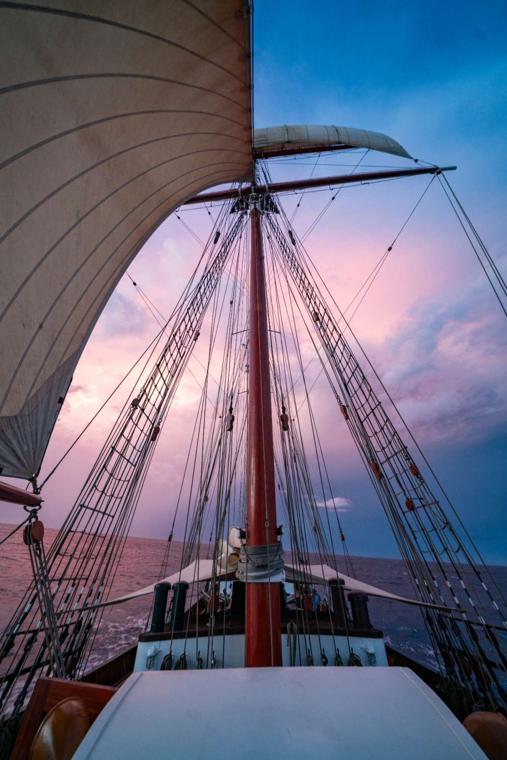 Darwin200: legacy under sail - Boating New Zealand