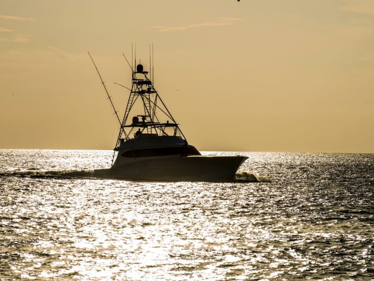 Fishing from your boat: spotting fish beneath you and finding the hot ...