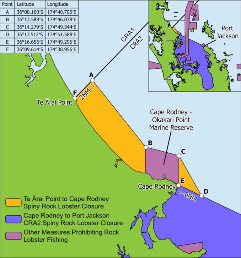 Rock lobster closures confirmed as Government moves to tackle urchin ...