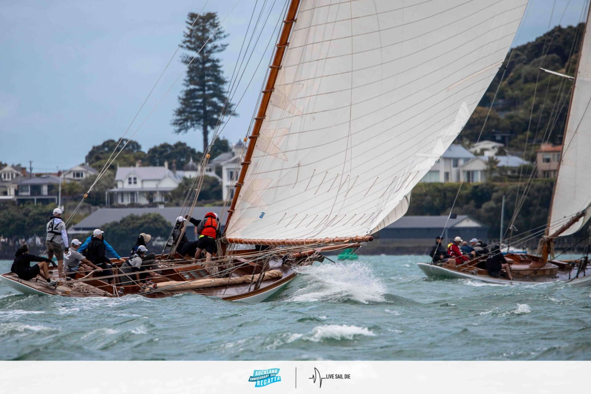 Auckland Anniversary Day Regatta showcases harbour-wide racing and ...