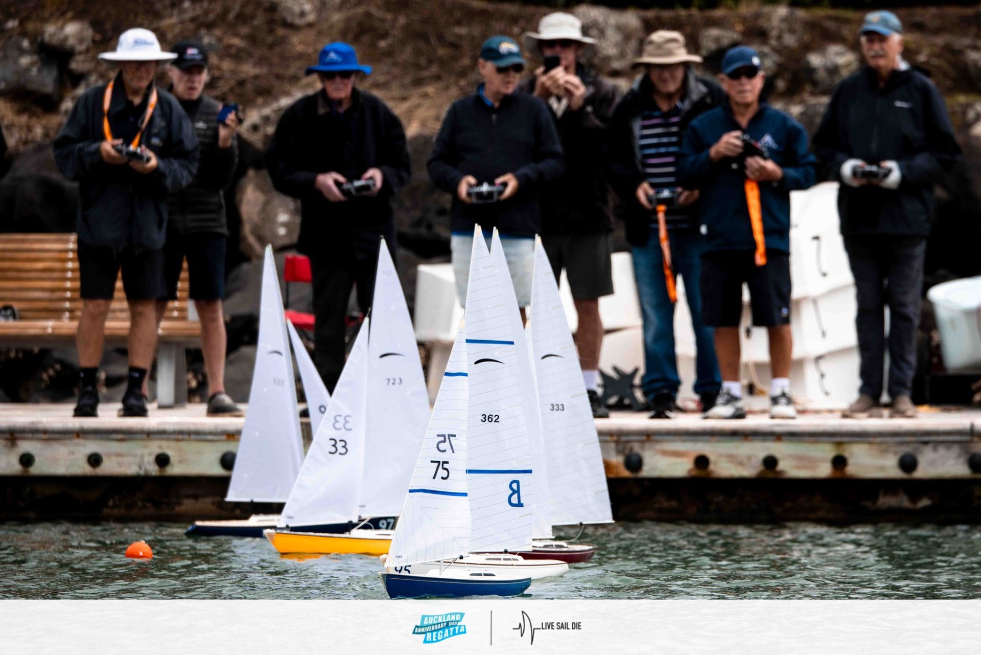 Auckland Anniversary Day Regatta showcases harbour-wide racing and ...