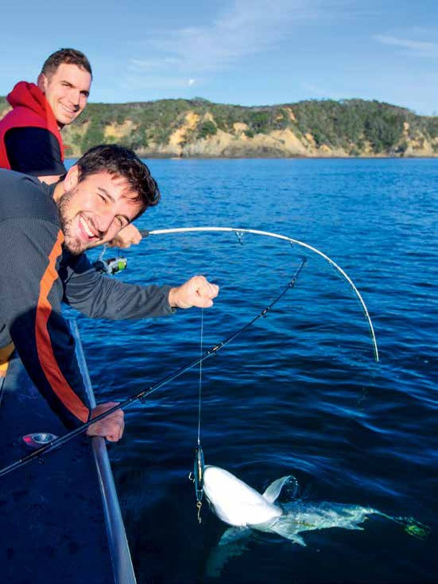 Find those fish (Part 4): Work-ups – a wild gannet chase! - Boating New ...