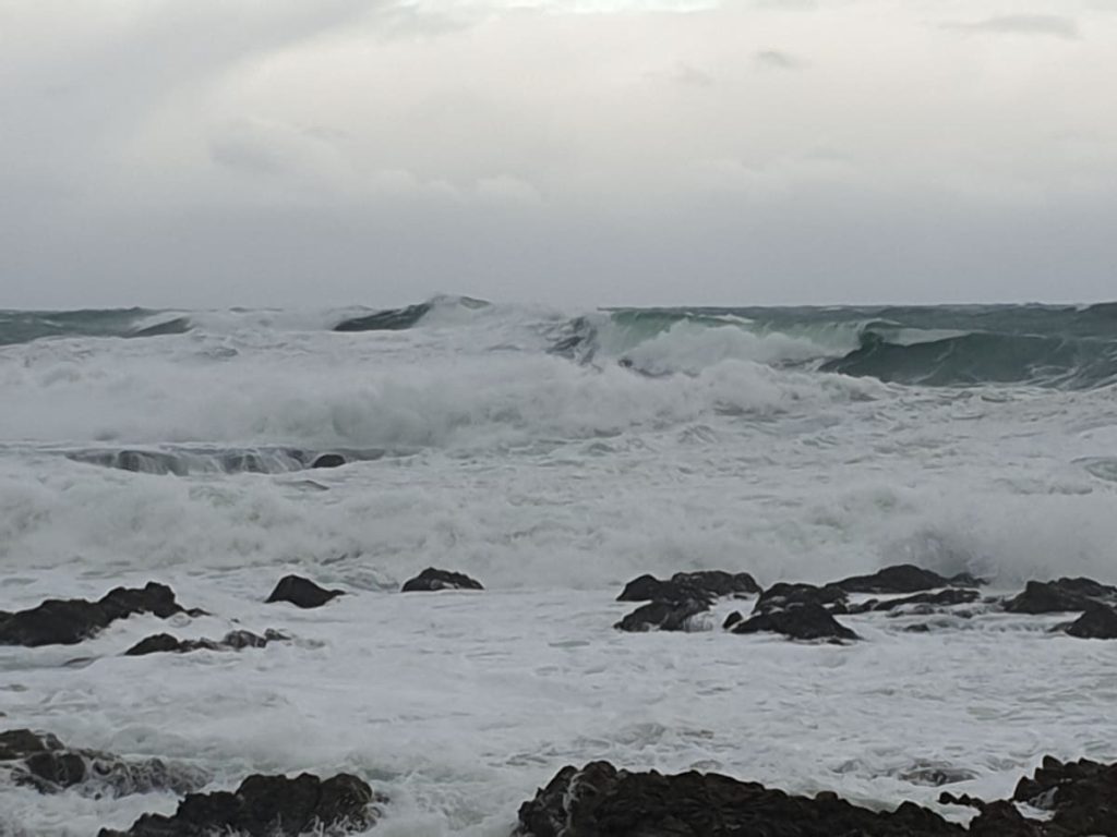 Ferry Cancelled Weather and Safety Precautions - Boating New Zealand